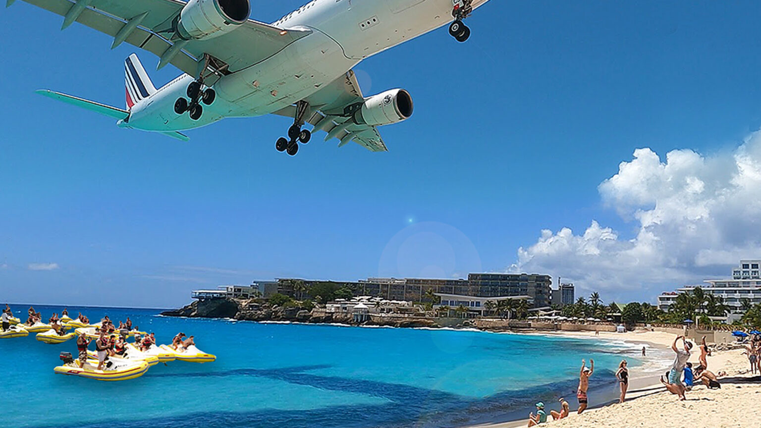 The Ultimate Rhino Tour - Rhino Safari Tours SXM The Ultimate Rhino Tour